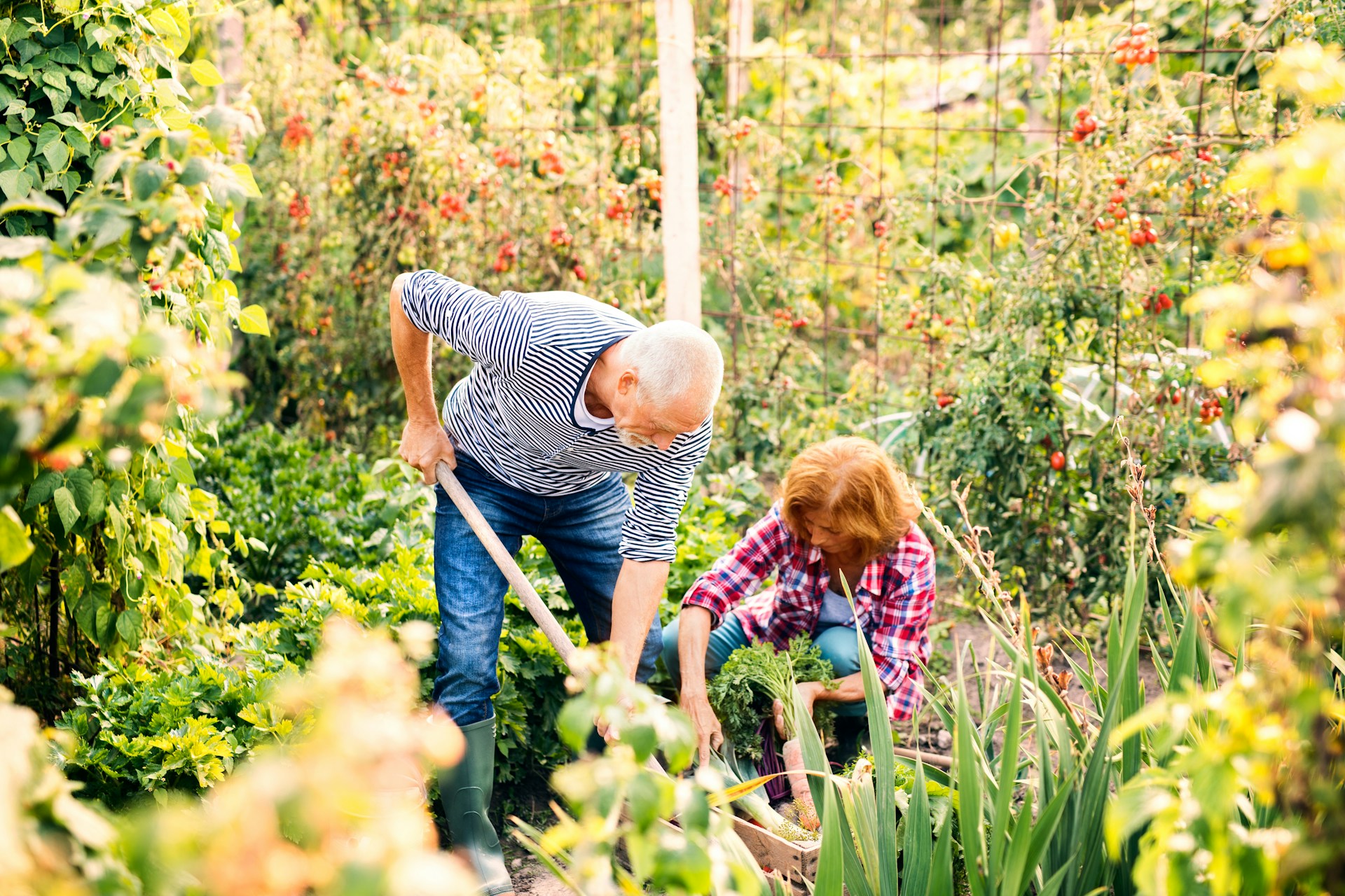 Ease Gardening Back Pain with Simple Steps